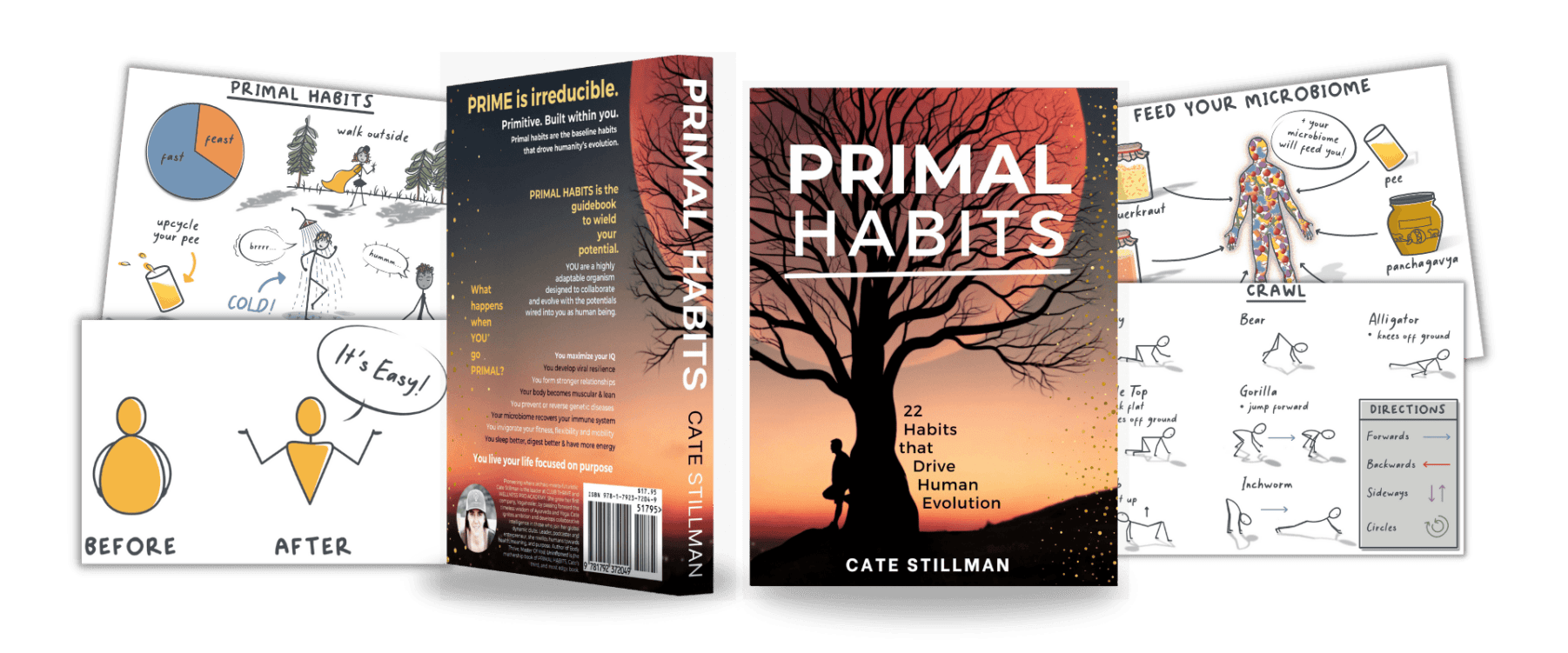 Primal Book - Cate Stillman