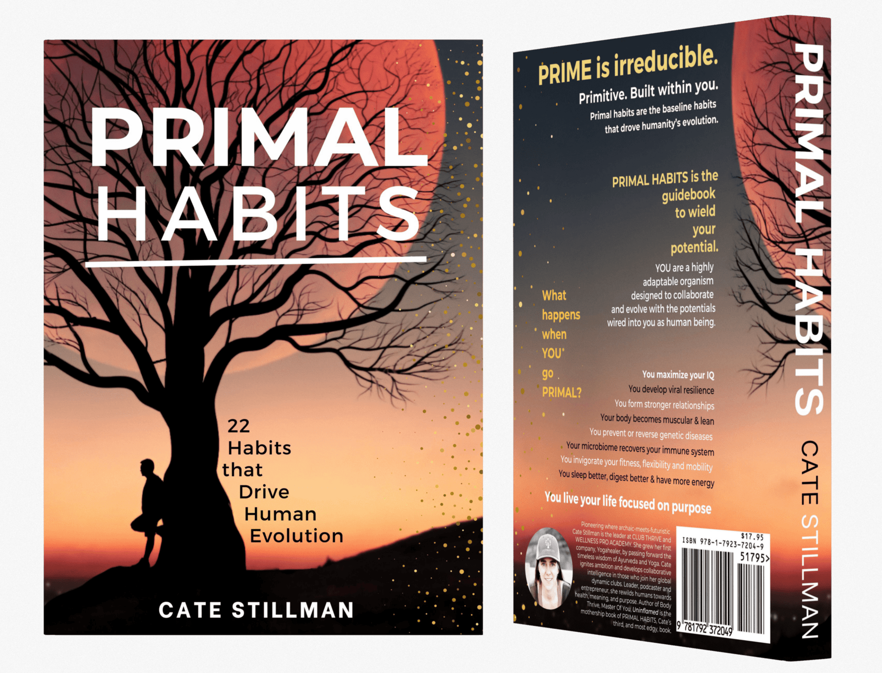 Primal Book - Cate Stillman